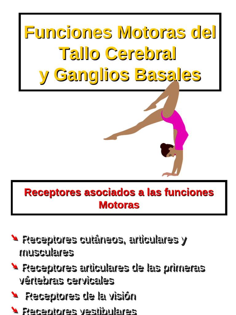 Funciones Motoras Del Tallo Cerebral y Ganglios Basales | PDF