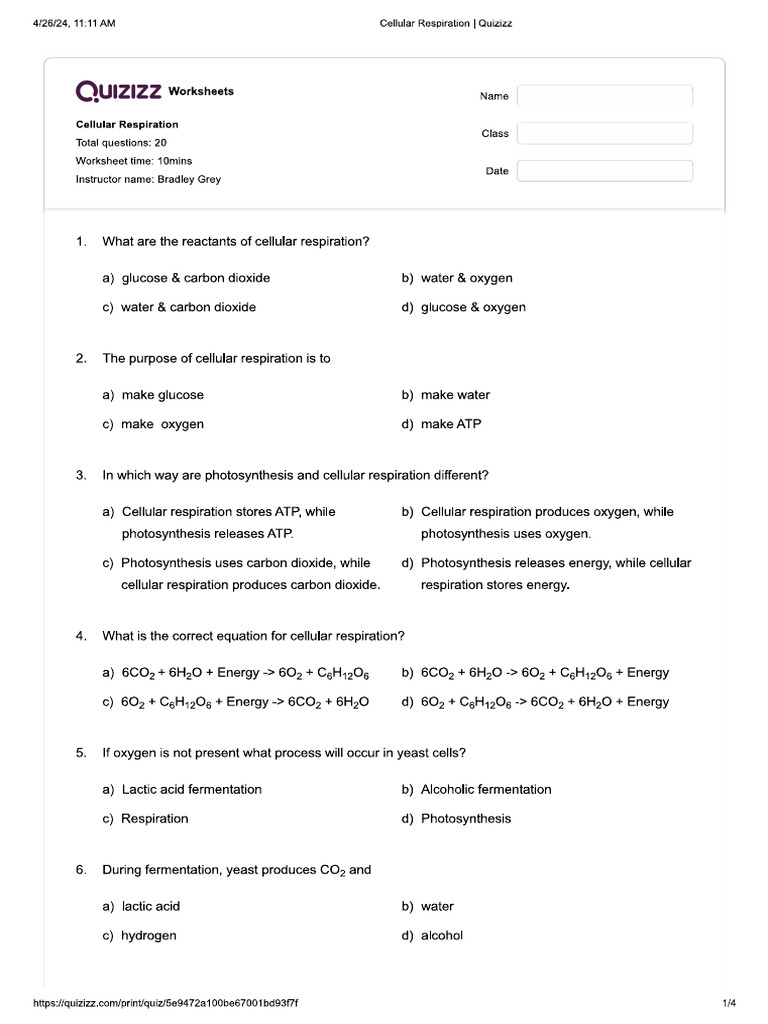 Cellular respiration worksheet | PDF