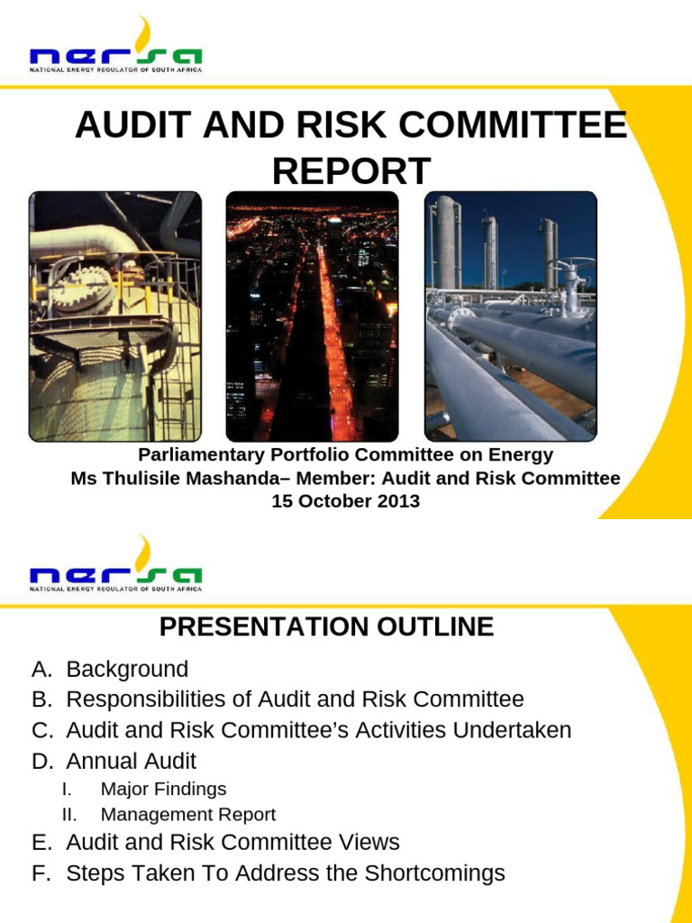 Audit | PDF
