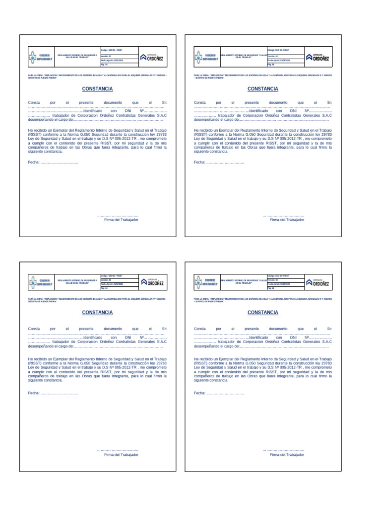 Anexo 08 Constancoa de RISST V2 | PDF
