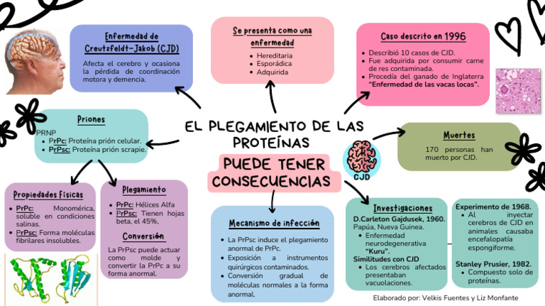 El Plegamiento de Las Proteínas Puede Tener Consecuencias Fatales | PDF