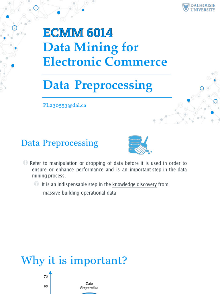 04.data Preprocessing | PDF