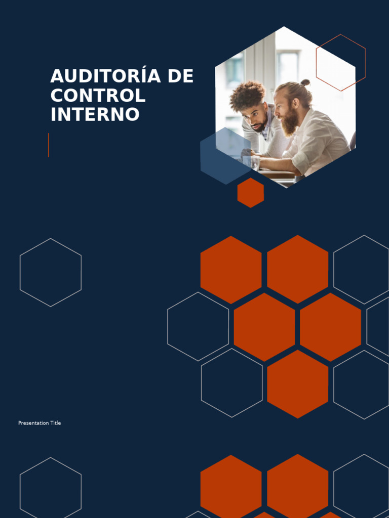 Tema Auditoría de Control Interno PTT | PDF