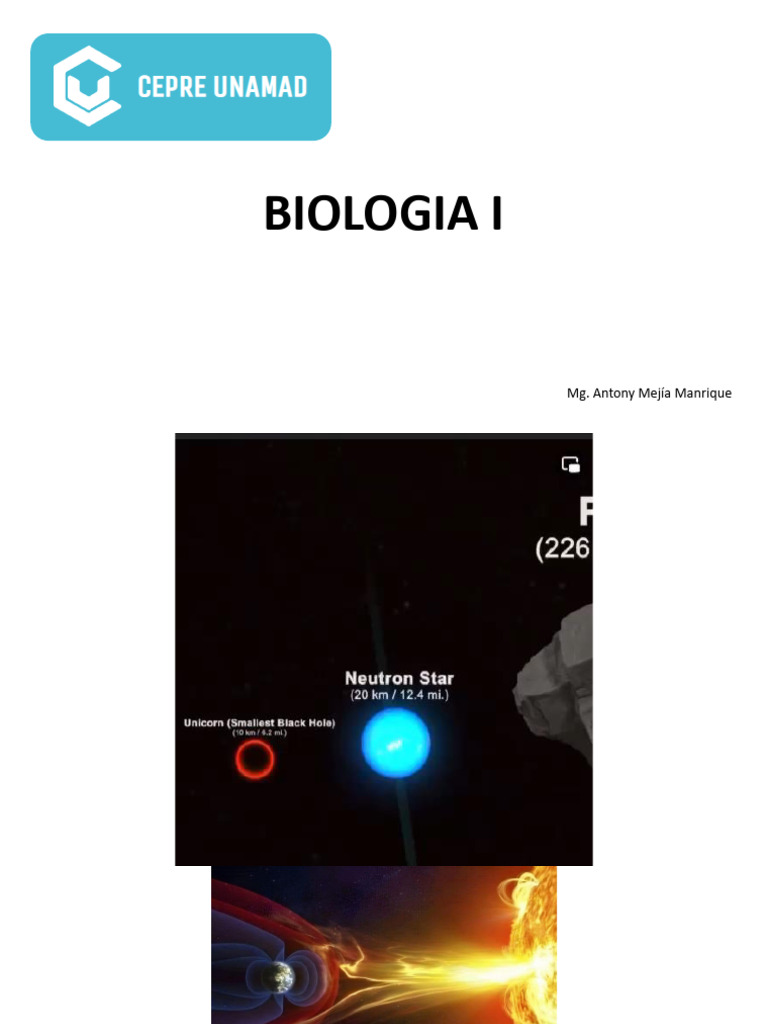 Biologia - PPT - 2024 | PDF