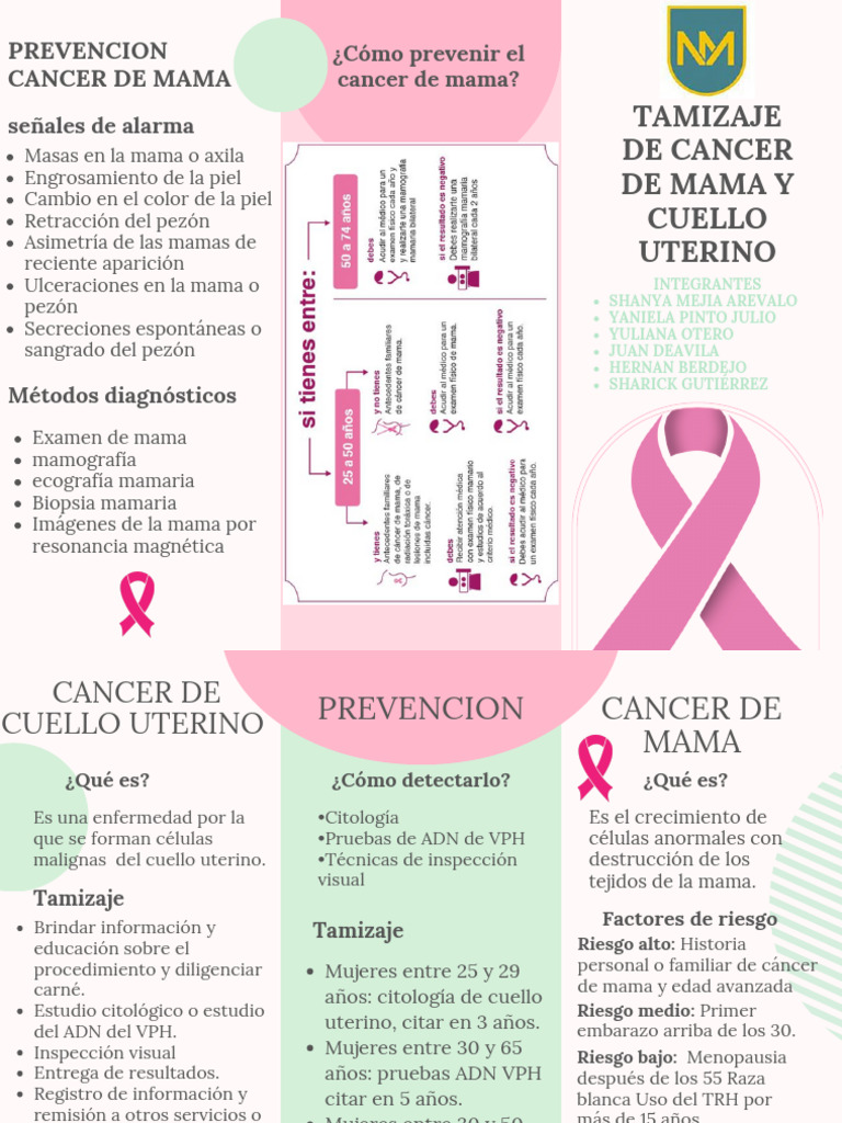 Folleto Cancer de Mama | PDF
