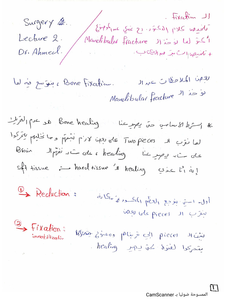 تلخيصfixation | PDF