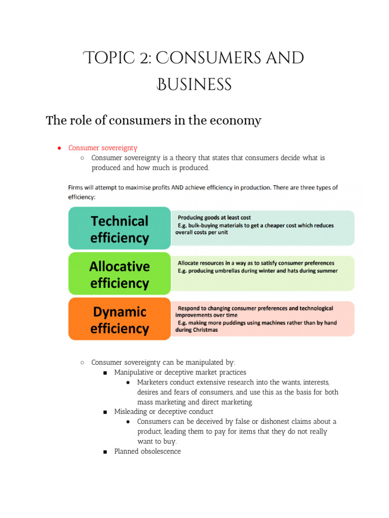 Consumers and Businesses Notes | PDF