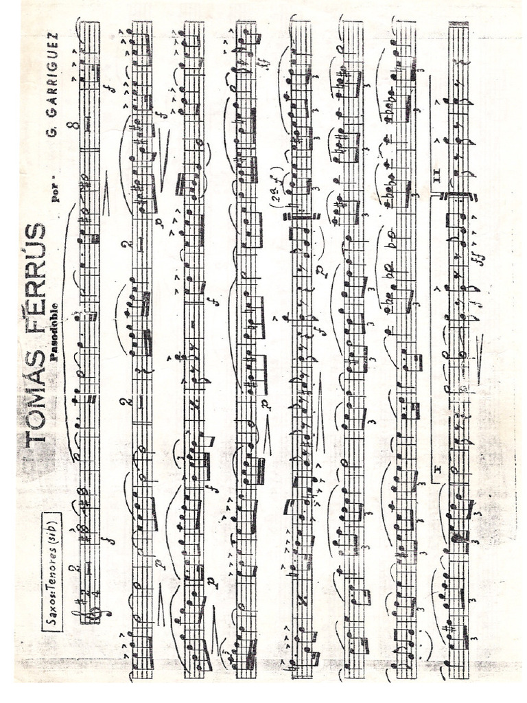 4.tomas Ferrus | PDF