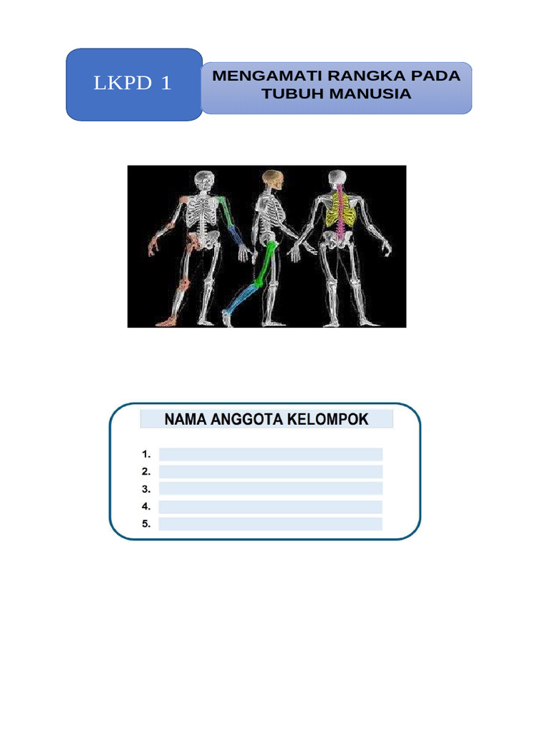 LKPD Sistem Gerak | PDF