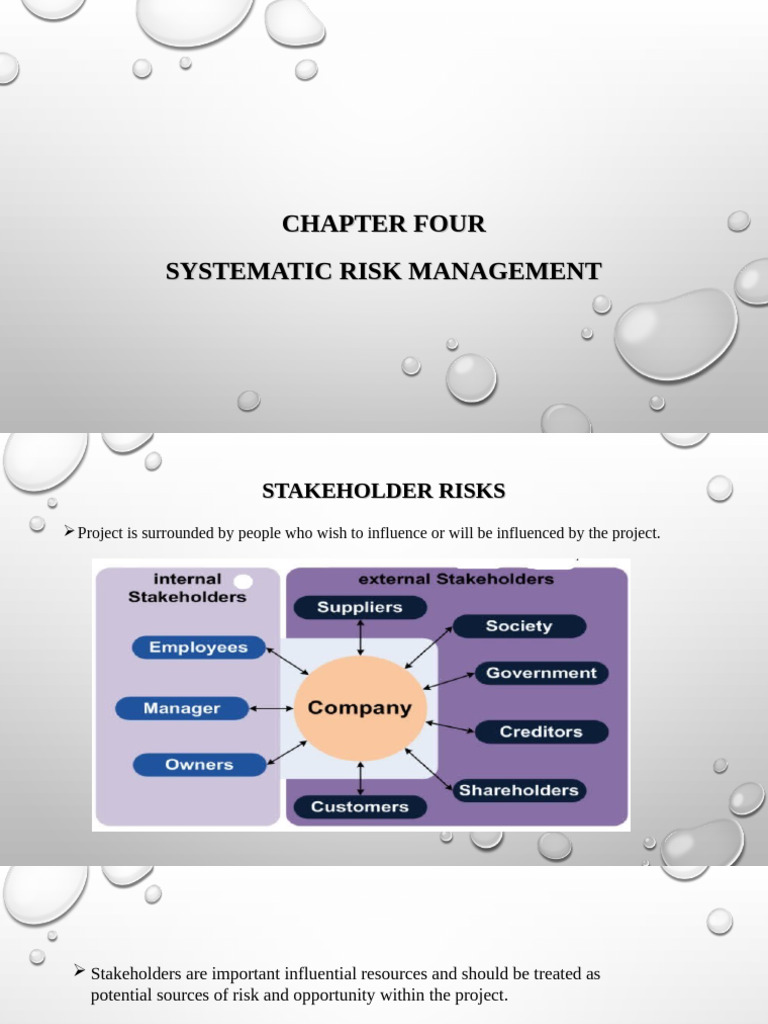 Chapter 4 - Systematic Risk Management | PDF