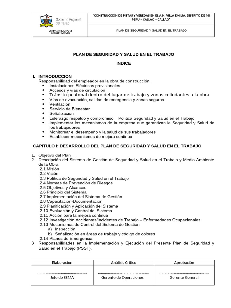 PLAN DE SEGURIDAD Y SALUD EN EL TRABAJO 1 | PDF