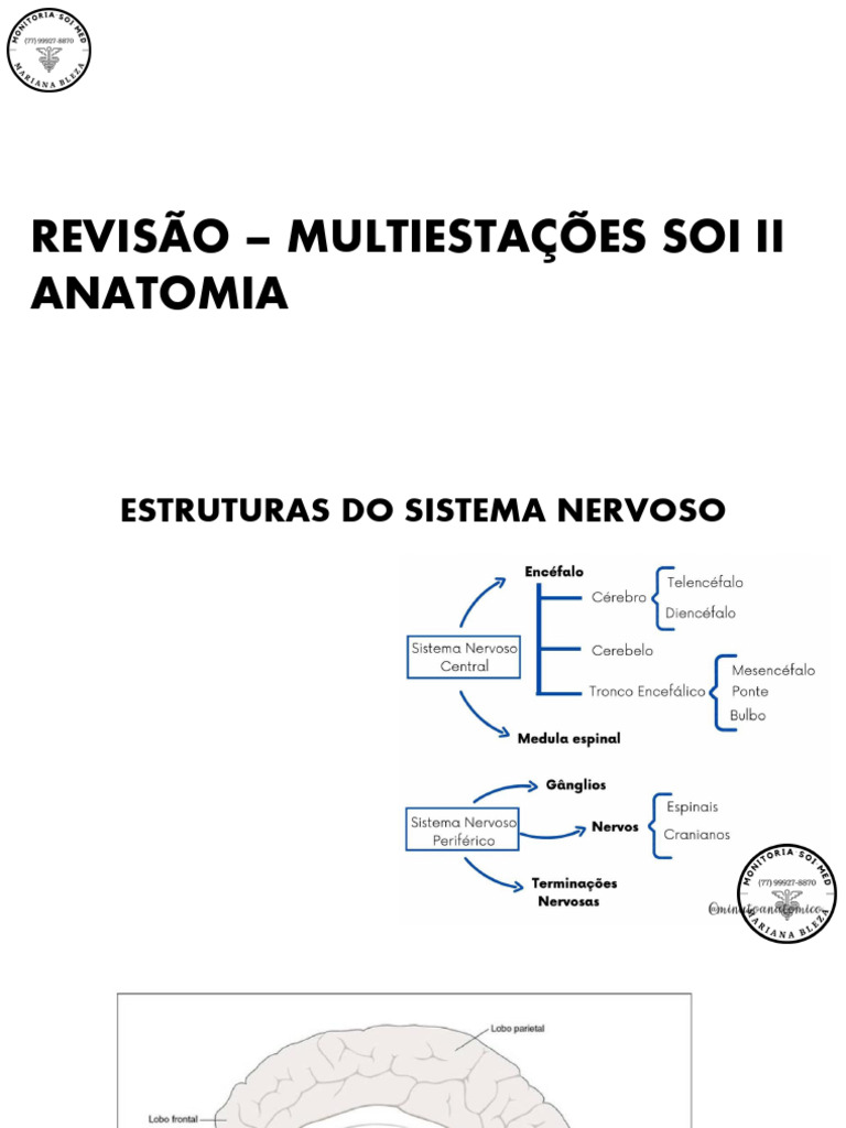 Anatomia Pdf