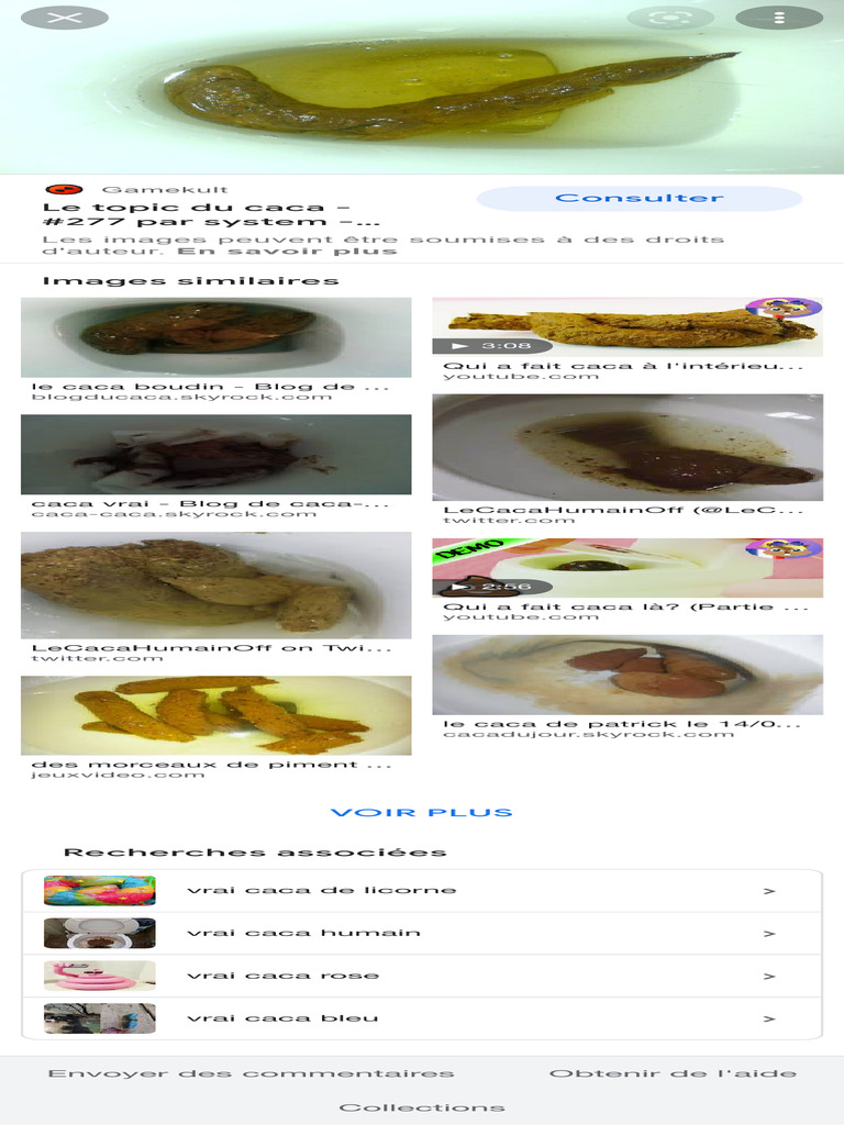 Vrai Caca - Recherche Google | PDF