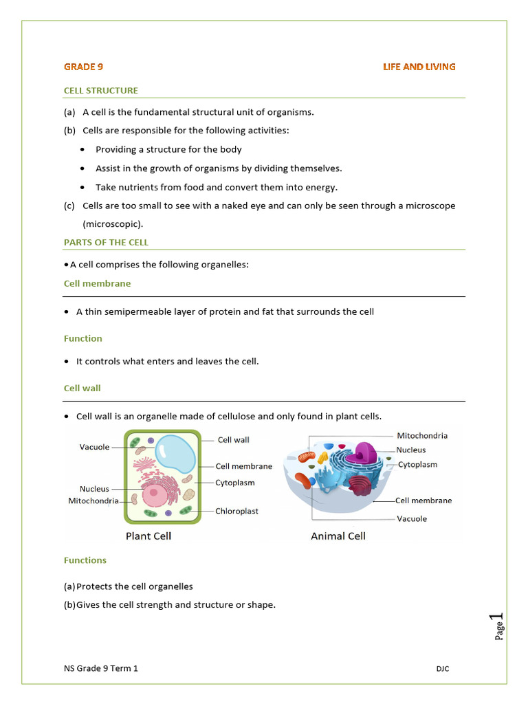 NS Grade 9 Guide Term 1 2024 | PDF