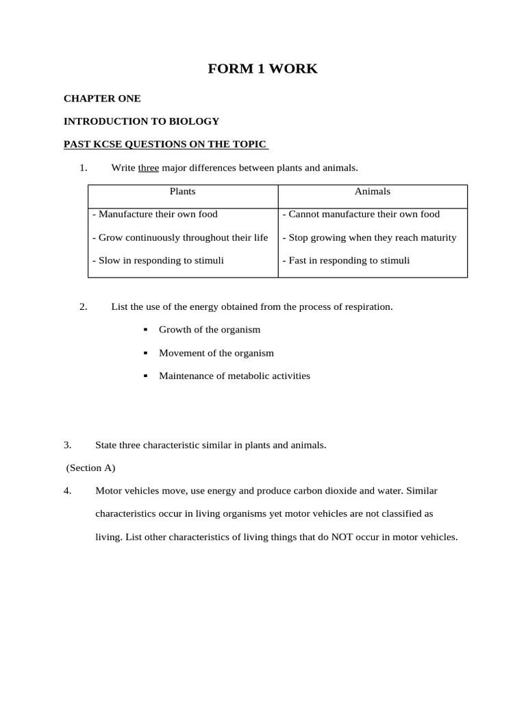 Form 1 Work | PDF