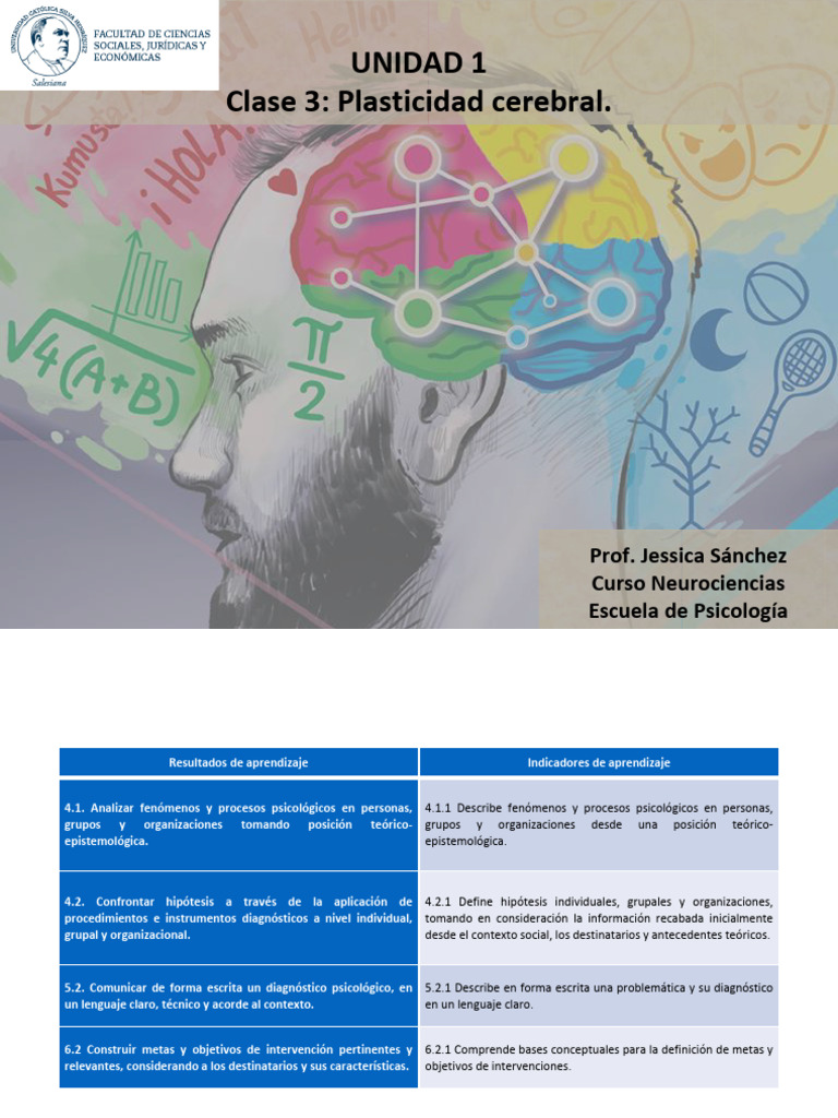 Clase 3 Plasticidad Cerebral | PDF