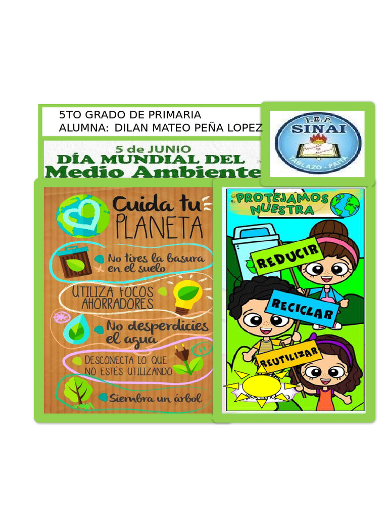 Afiche Dia Del Medio Ambiente | PDF