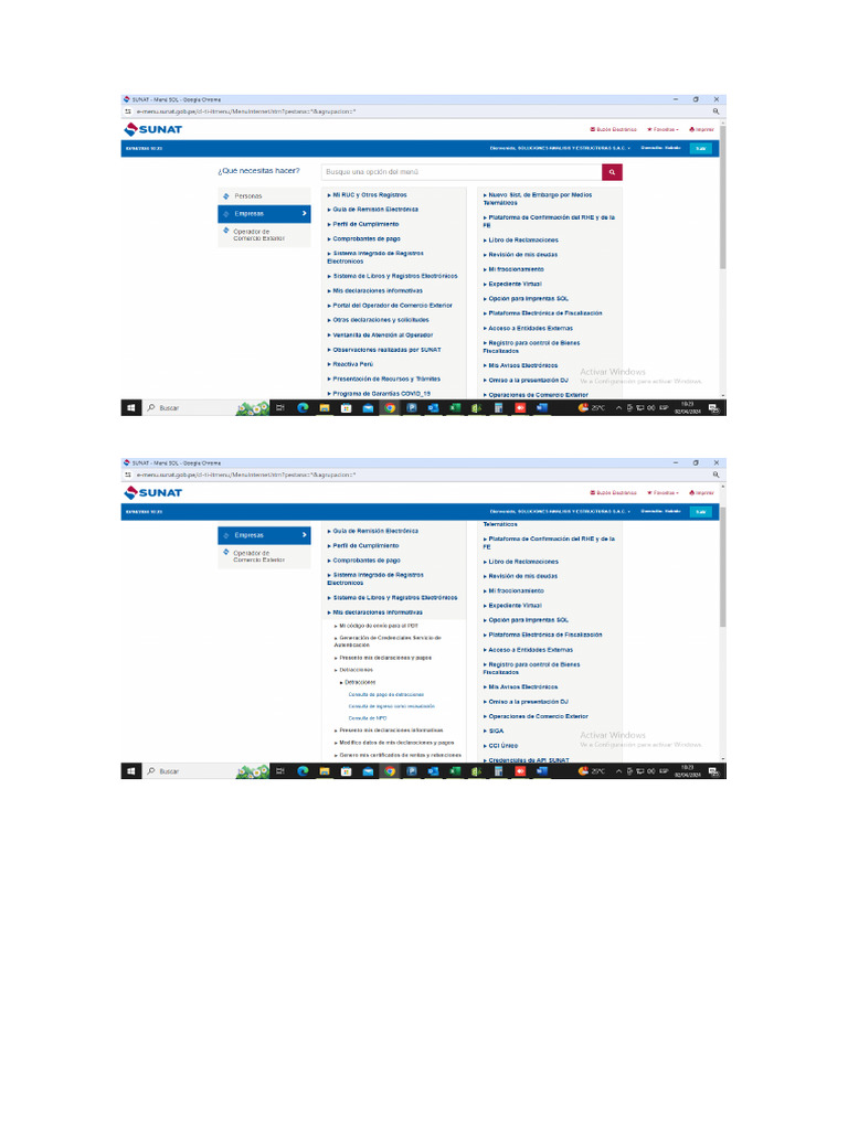 Guia Practica Consulta Detracciones | PDF