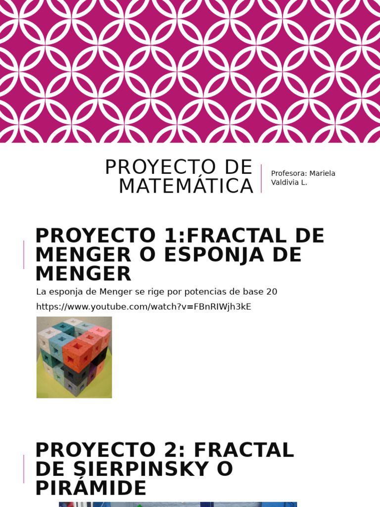 Proyectos de Matemática | PDF