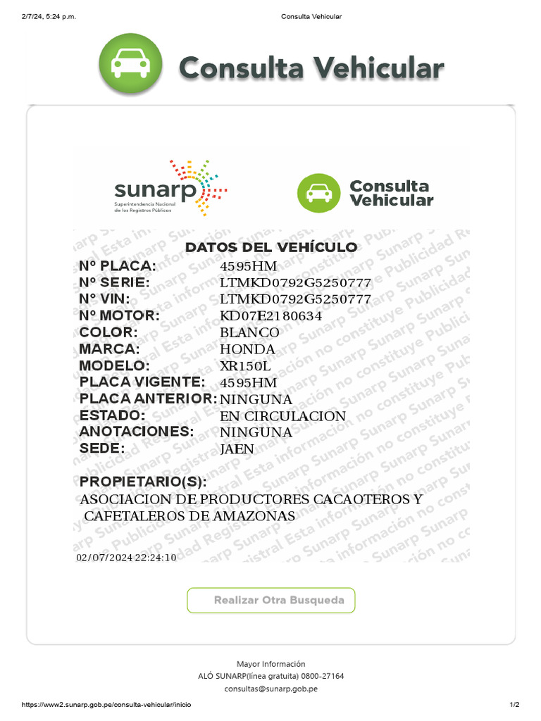 Consulta Vehicular | PDF