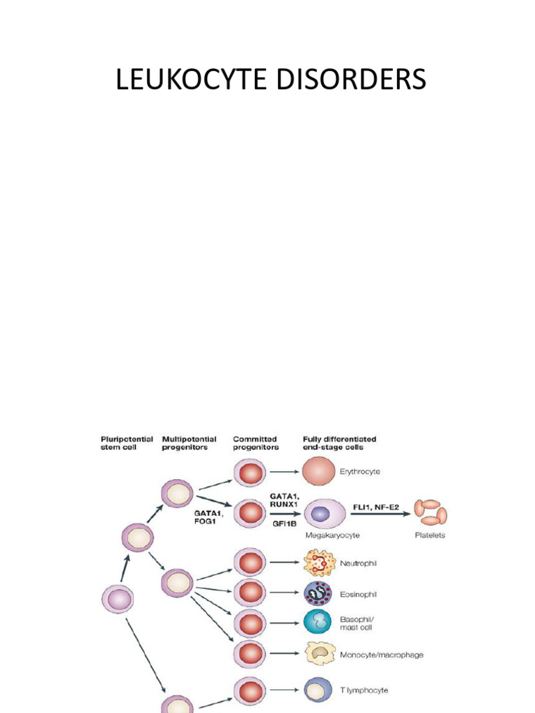 Leukocyte Disorders | PDF
