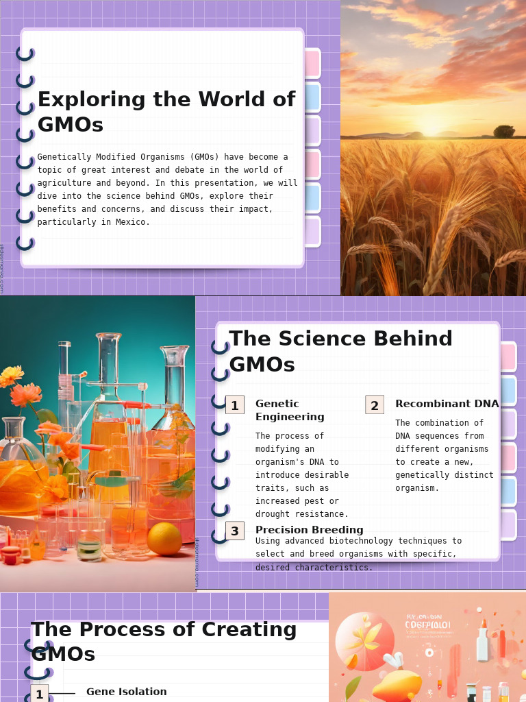 Exploring The World of GMOs | PDF | Genetically Modified Organism | Agriculture