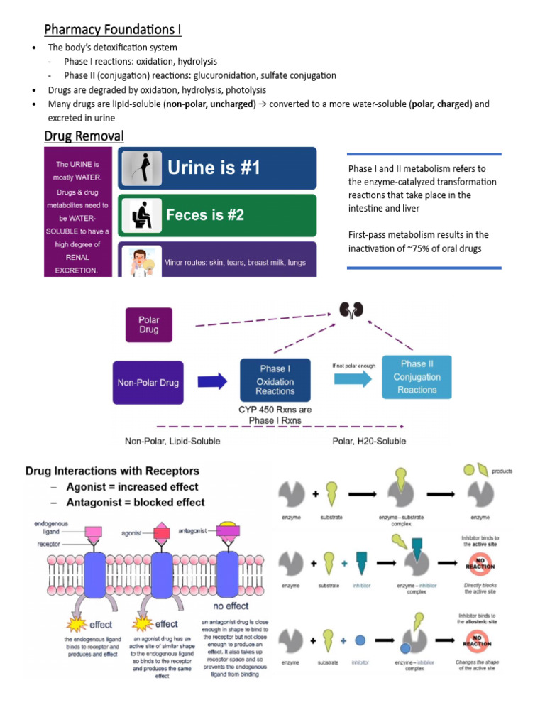 Pharmacy Foundations I | PDF
