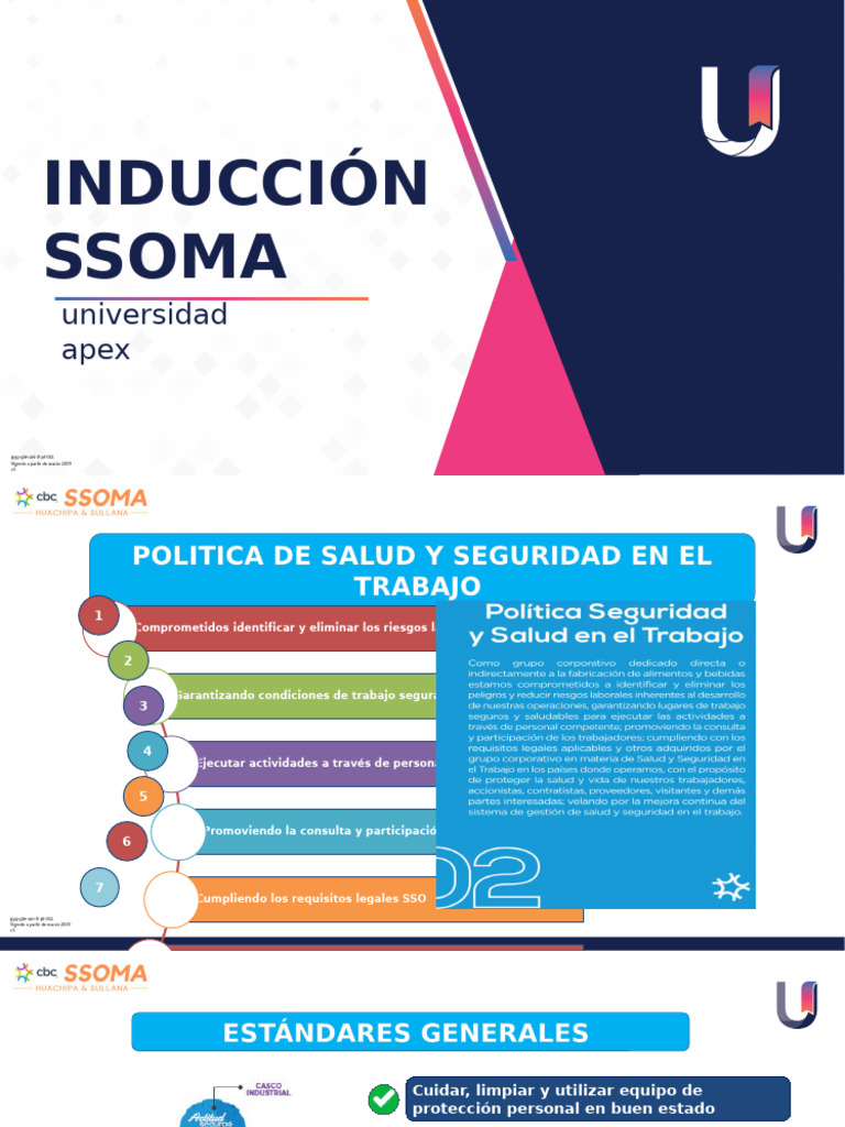 Induccion SSOMA 2024 | PDF