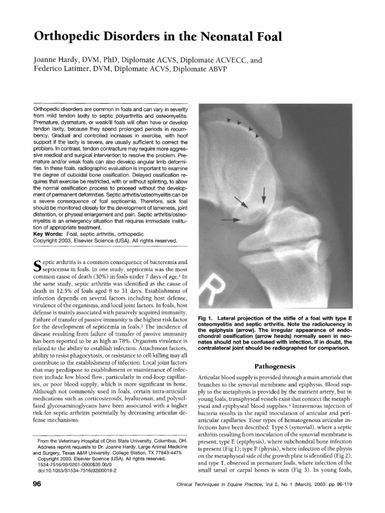 Orthopedic Disorders in The Neonatal Foal | PDF