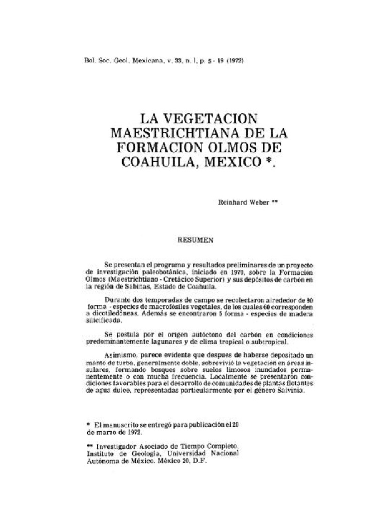 Weber Flora Maastrichtiana en FM Olmos (1970) | PDF