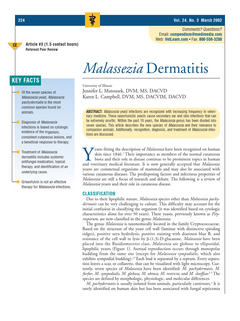 Malassezia Dermatitis | PDF