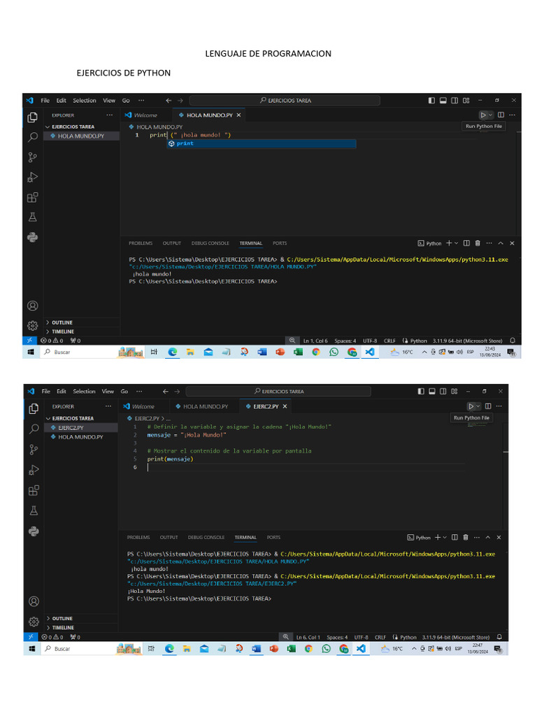 LENGUAJE DE PROGRAMACION | PDF