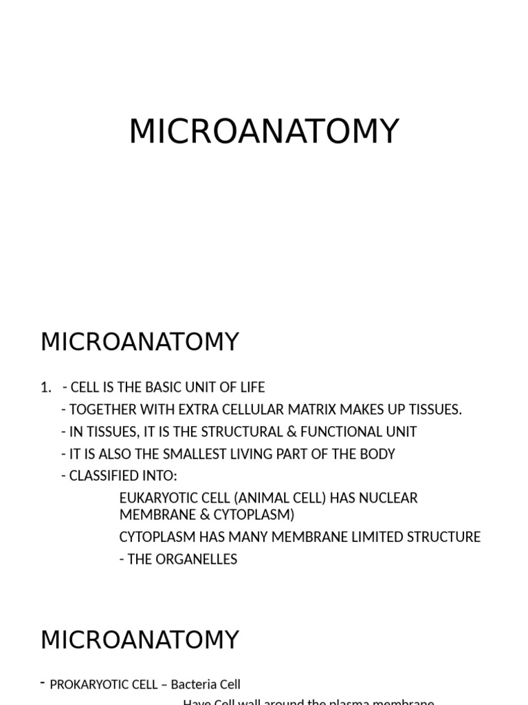 Microanatomy | PDF Microanatomy | PDF