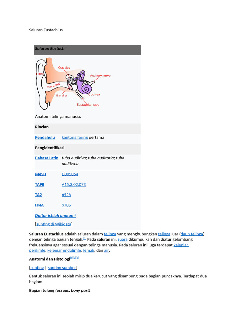 Saluran Eustachius | PDF