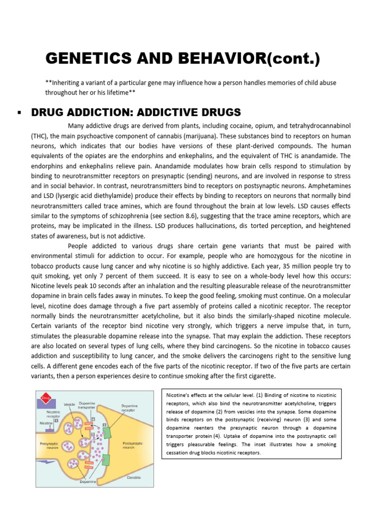 Genetics and Behavior | PDF