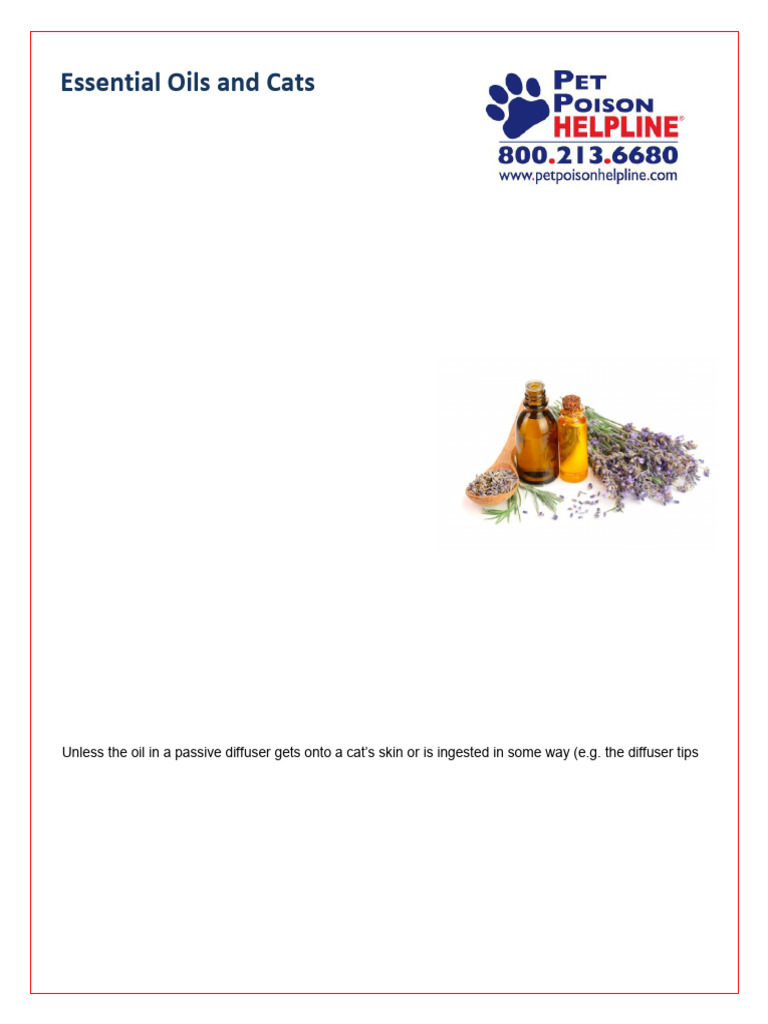 2017 Essential Oils and Cats Handout | PDF