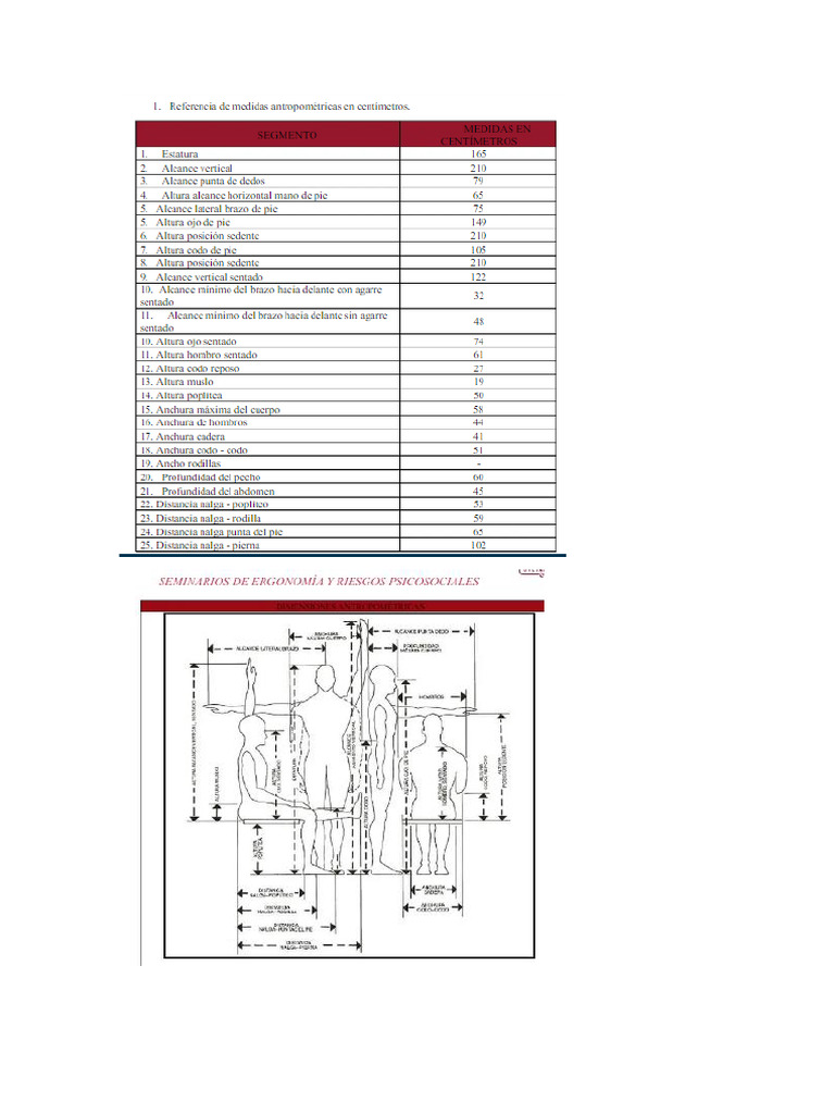 S1 Establecer Medidas Antropométricas | PDF