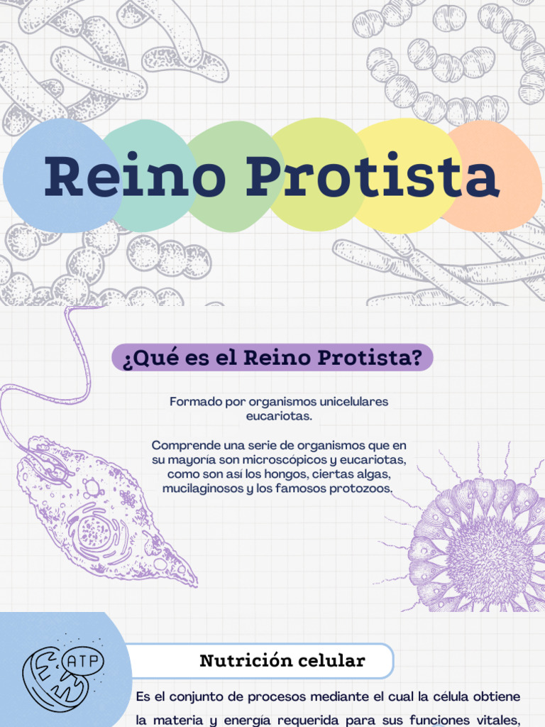 Pastel Colors Science Microbiology Laboratory Practice Presentation | PDF