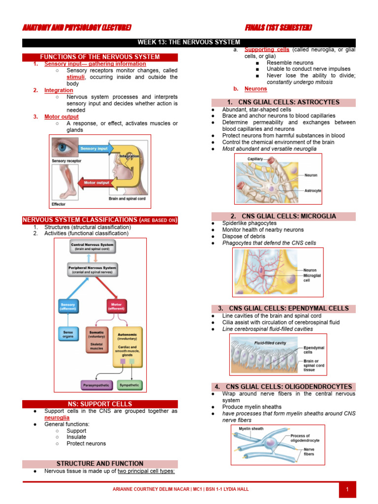 (MC1) Finals Trans | PDF