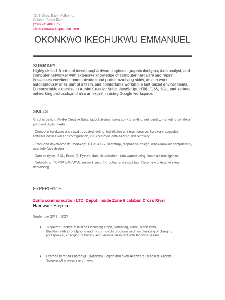OKONKWO's CV2 | PDF