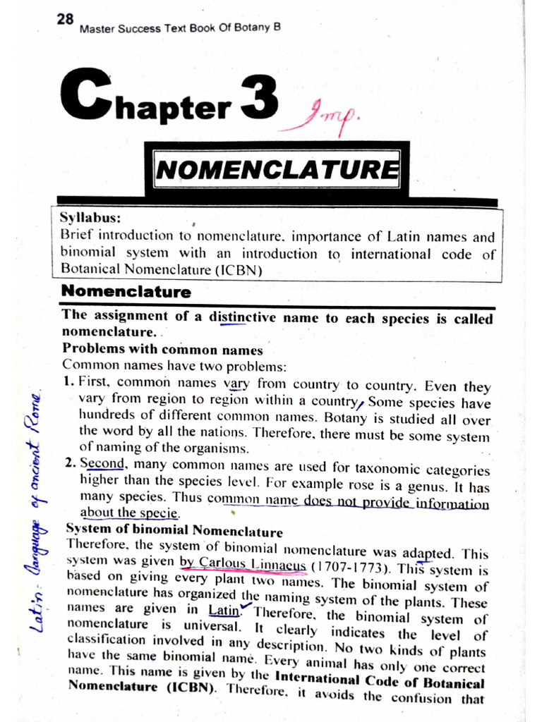 Nomenclature | PDF