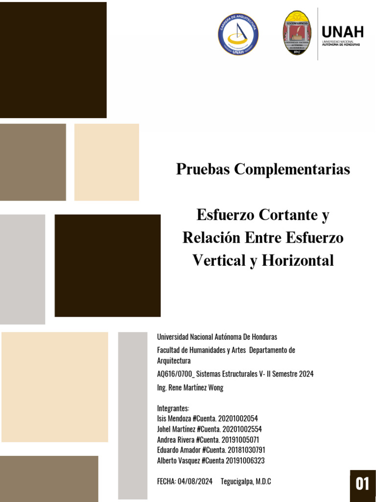 Pruebas Complementarias | PDF
