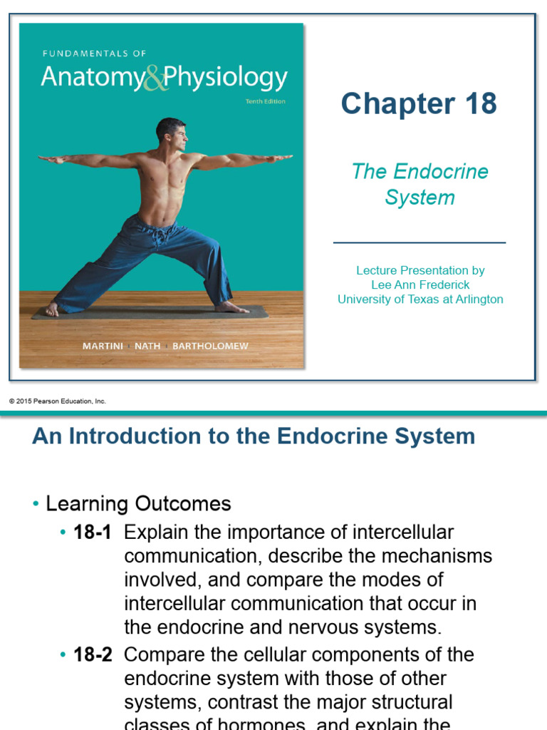 Anatomy & Physiology (Endocrine) | PDF