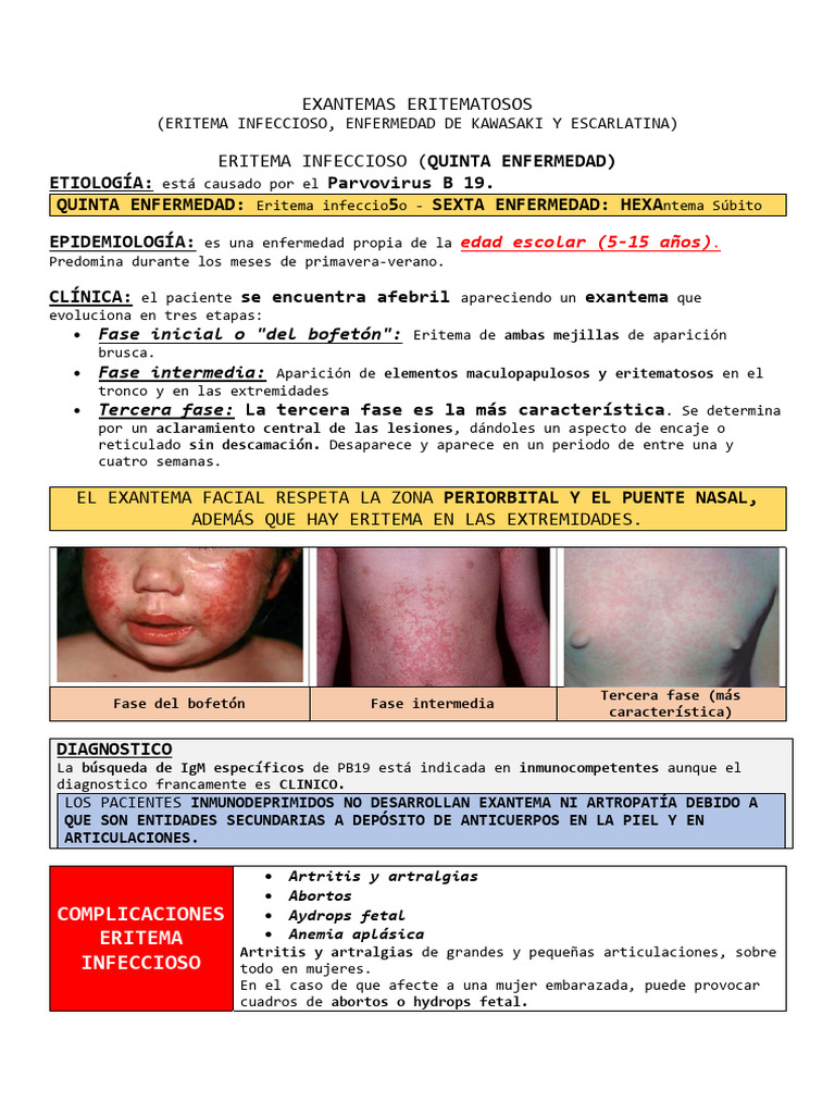 Exantemas Eritematosos | PDF