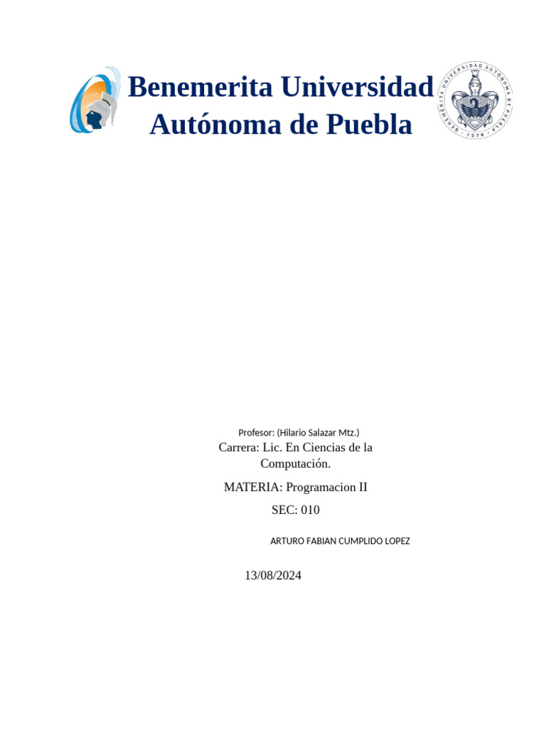Programacion Ii | PDF