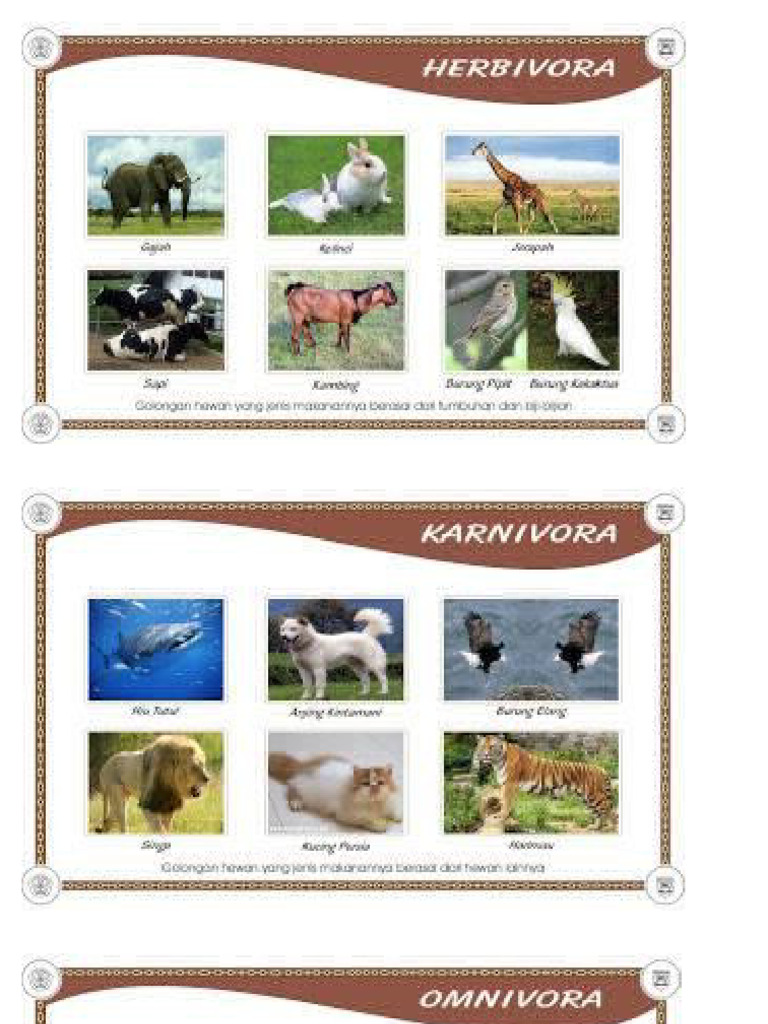 Gambar Pengelompokan Hewan | PDF