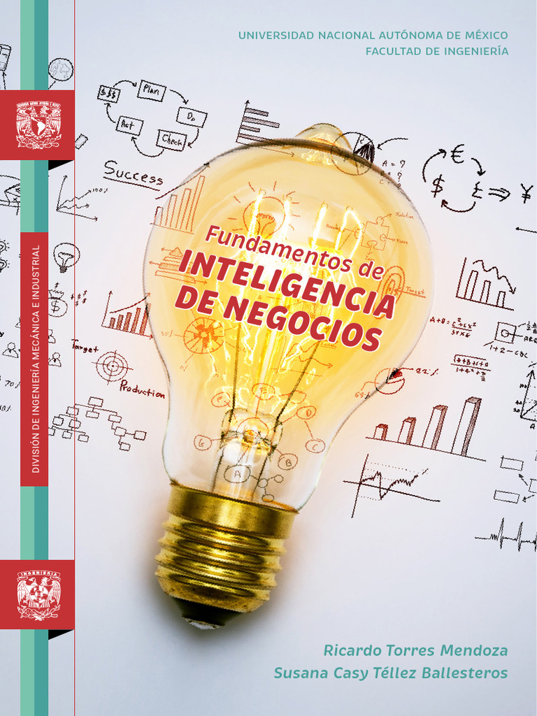 (2022) Fundamentos de Inteligencia de Negocios | PDF