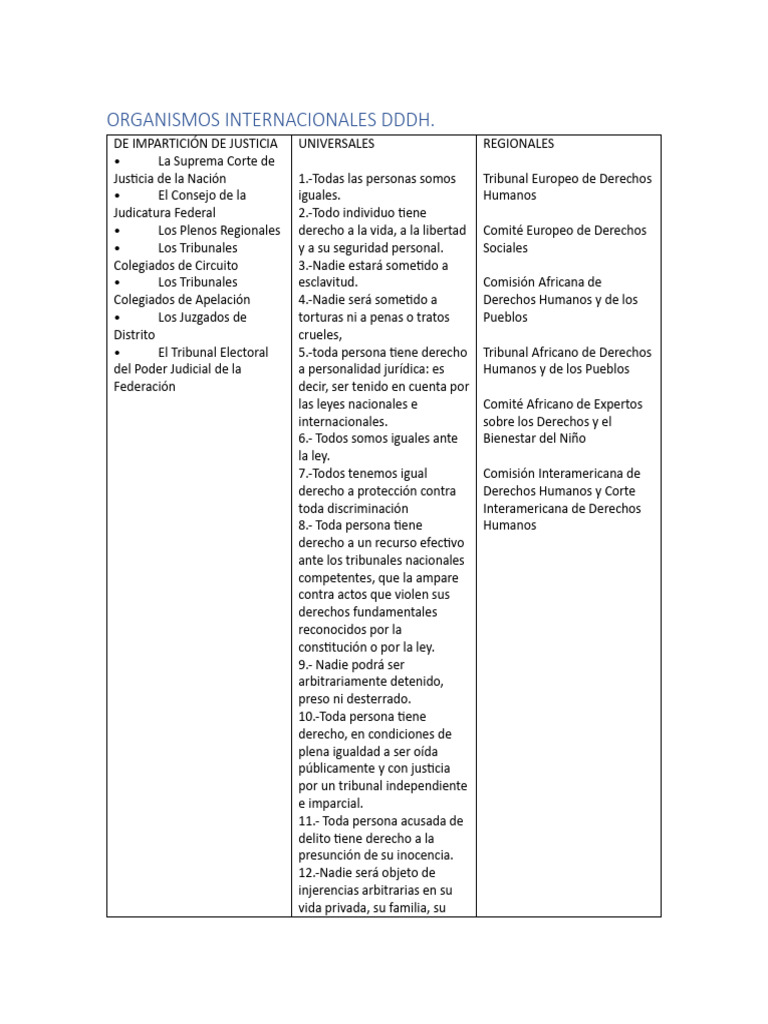 Organismos Internacionales DDDH | PDF