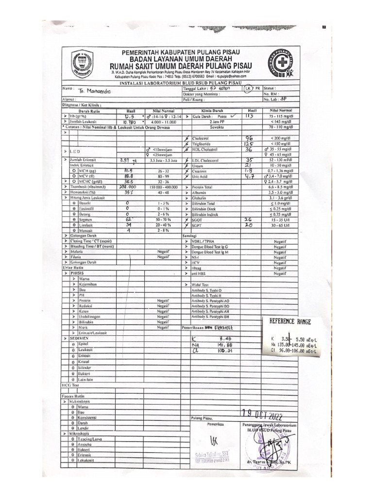 Hasil Lab Darah New | PDF