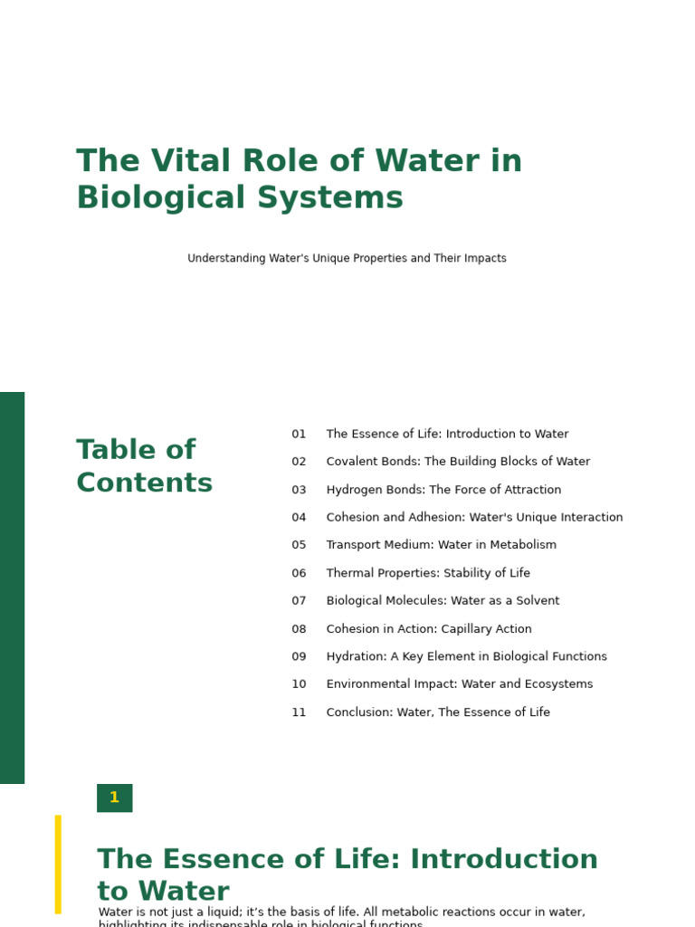The Vital Roleof Waterin Biological Systems 7 B 2 Ece 1 CBB 7 Ae 56 C | PDF